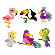 Tropical Bird Cuttable Design | Apex Embroidery Designs, Monogram Fonts ...