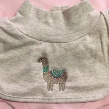 Custom Digitizing Service Machine Embroidery Designs - Apex