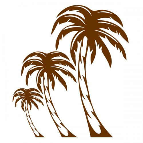 Palm Tree Cuttable Designs | Apex Embroidery Designs, Monogram Fonts ...