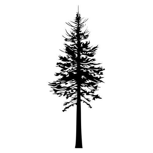 Pacific Northwest Washington State Trees Cuttable Designs | Apex ...