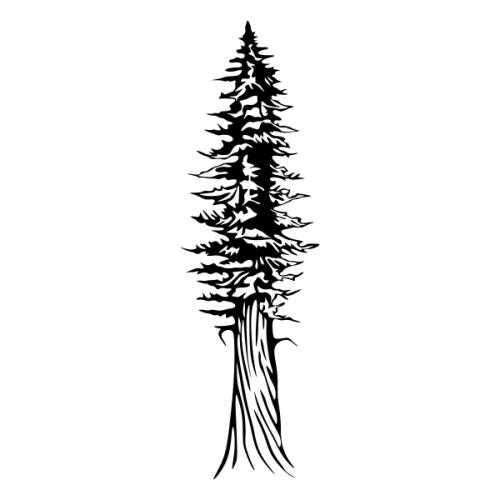 Pacific Northwest Washington State Trees Cuttable Designs | Apex ...