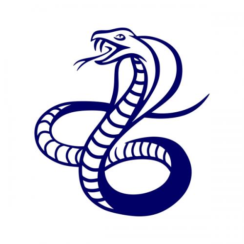 Cobra Pack Cuttable Design | Apex Embroidery Designs, Monogram Fonts ...