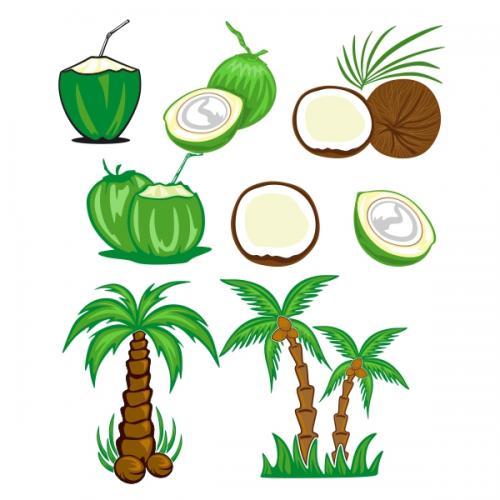 Coconut Tree Cuttable Design | Apex Designs & Fonts