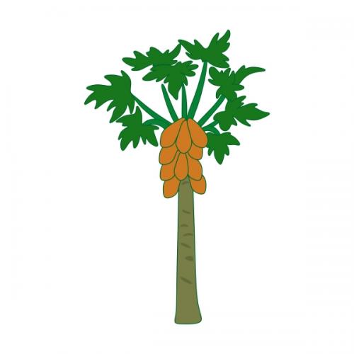 Papaya Pack Cuttable Design | Apex Embroidery Designs, Monogram Fonts ...