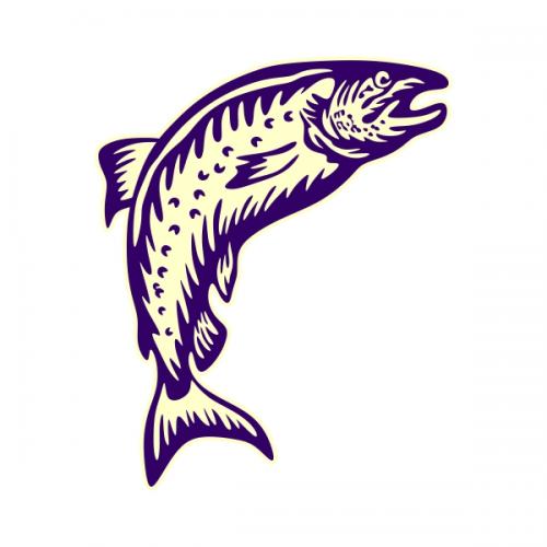 Salmon Pack Cuttable Design | Apex Embroidery Designs, Monogram Fonts ...