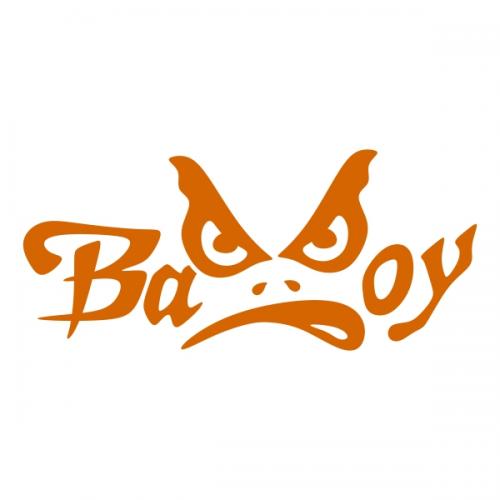 Bad Boy Cuttable Design | Apex Embroidery Designs, Monogram Fonts ...