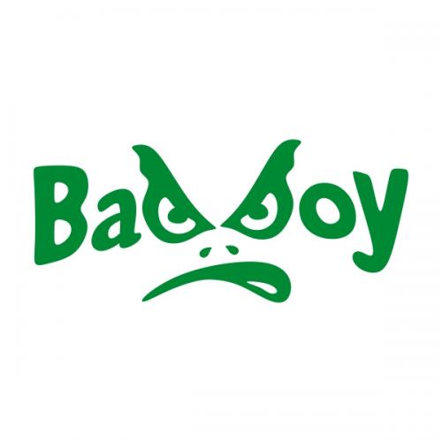 Bad Boy Cuttable Design | Apex Embroidery Designs, Monogram Fonts ...