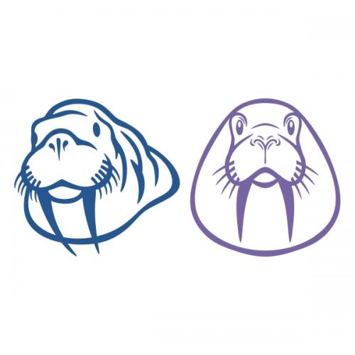 Walrus Cuttable Design | Apex Designs & Fonts