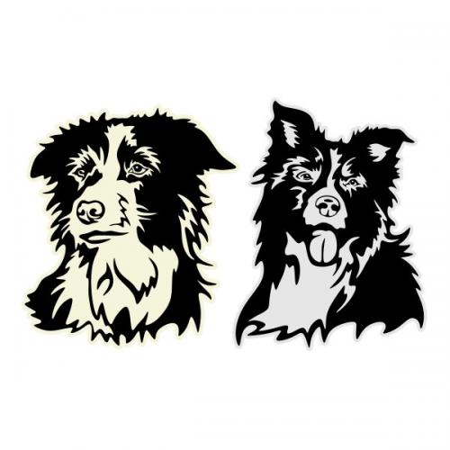 Border Collie Dog Cuttable Design | Apex Designs & Fonts