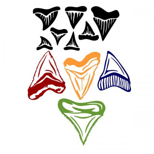Shark Tooth Bundle SVG Vector Design - Apex