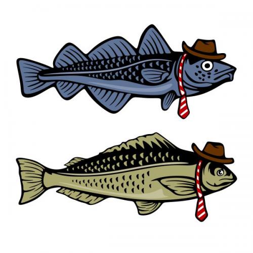 Mr Fish Cuttable Design | Apex Designs & Fonts