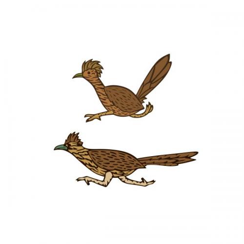Roadrunner Bird Cuttable Design | Apex Designs & Fonts