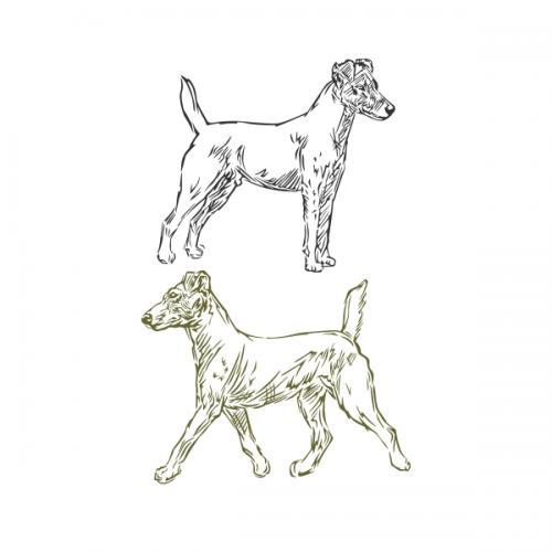 Smooth Fox Terrier Dog Line Art Cuttable Design | Apex Designs & Fonts