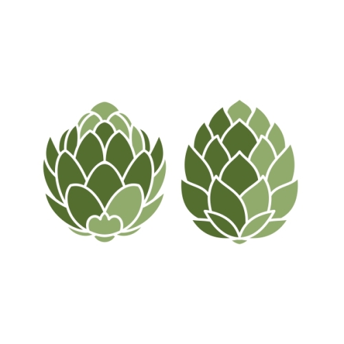 Artichoke SVG Designs Vector - Apex