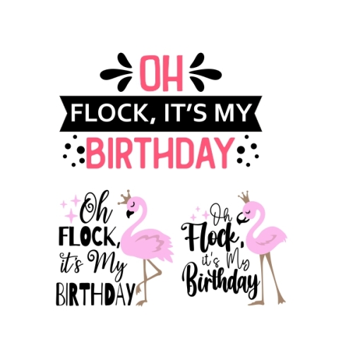 Flamingo Oh Flock, It's My Birthday SVG Designs Vector - Apex