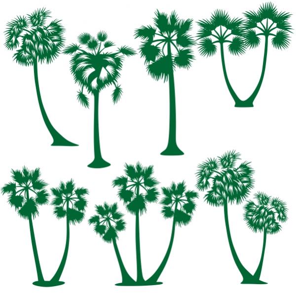 Cambodia Sugar Palm Tree Cuttale Design | Apex Designs & Fonts